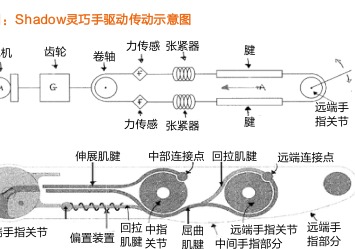 优必选第一代(2018版)灵巧手手指结构 - 2025年06月 - 行业研究数据 - 小牛行研