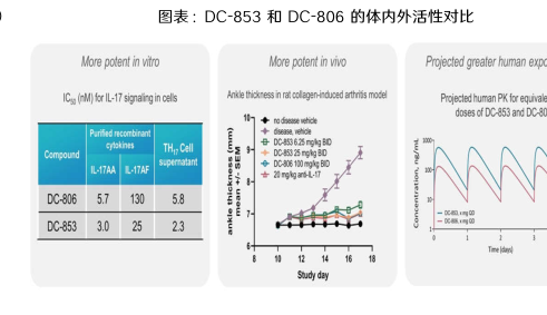STAT蛋白家族的结构和磷酸化位点 - 2025年09月 - 行业研究数据 - 小牛行研