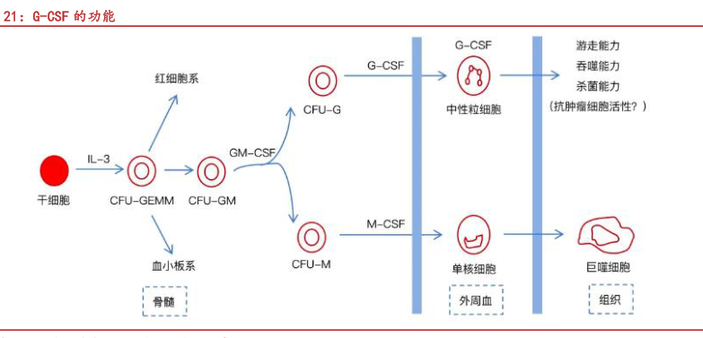ETER701临床研究结果 - 2025年02月 - 行业研究数据 - 小牛行研