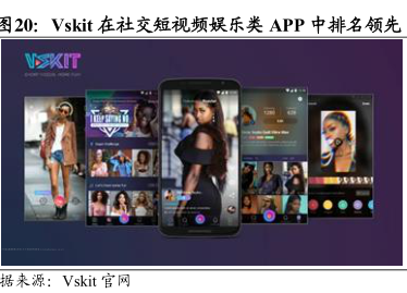 公司东南亚市场份额快速提高 - 2024年08月 - 行业研究数据 - 小牛行研