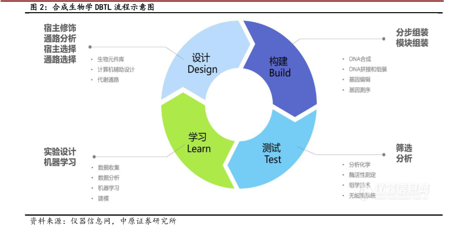 合成生物学DBTL流程示意图 - 2024年07月 - 行业研究数据 - 小牛行研
