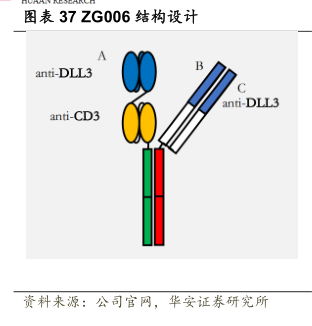 ZG006结构设计 - 2023年11月 - 行业研究数据 - 小牛行研