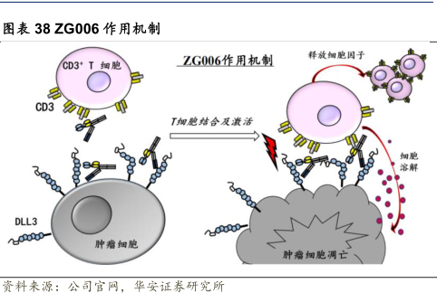 ZG006结构设计 - 2023年11月 - 行业研究数据 - 小牛行研