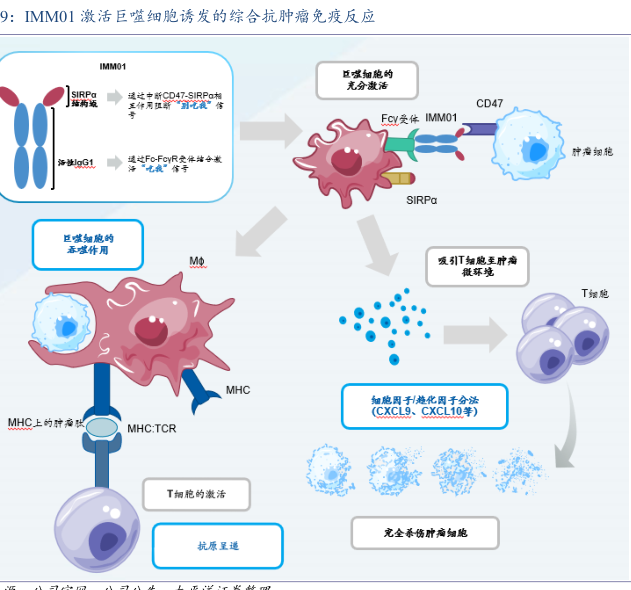 IMM01联合AZA在1 L CMML患者中的疗效数据 - 2024年09月 - 行业研究数据 - 小牛行研