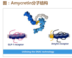 Remternetug早期临床数据 - 2023年05月 - 行业研究数据 - 小牛行研