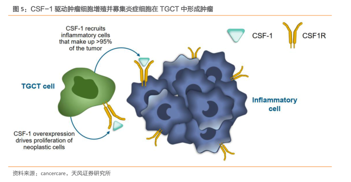ABSK021-101试验数据 - 行业研究数据 - 小牛行研