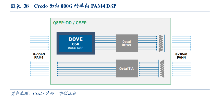 Credo面向800G的单向PAM4DSP - 2024年01月 - 行业研究数据 - 小牛行研